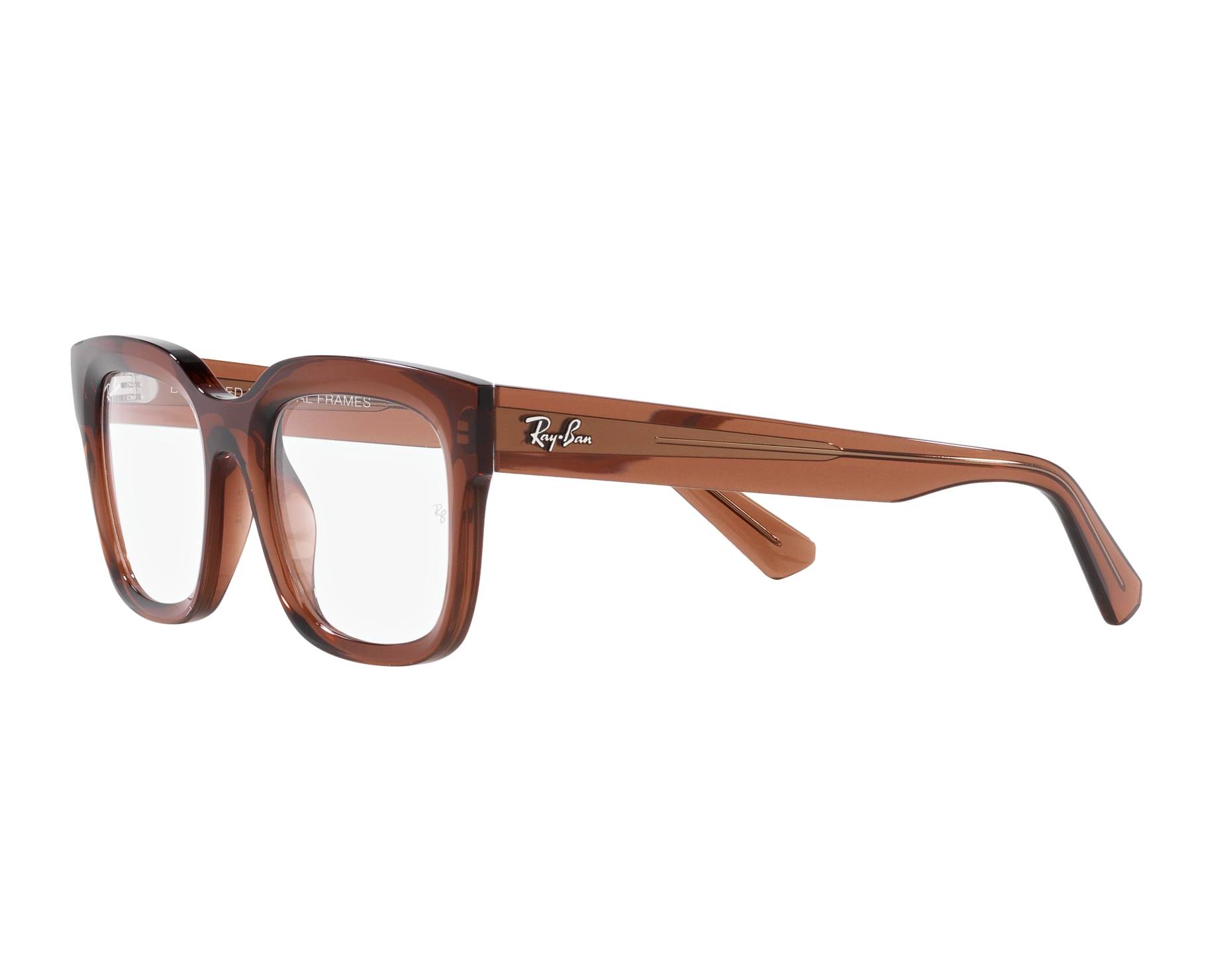 Ray-Ban Chad RX7217 8261