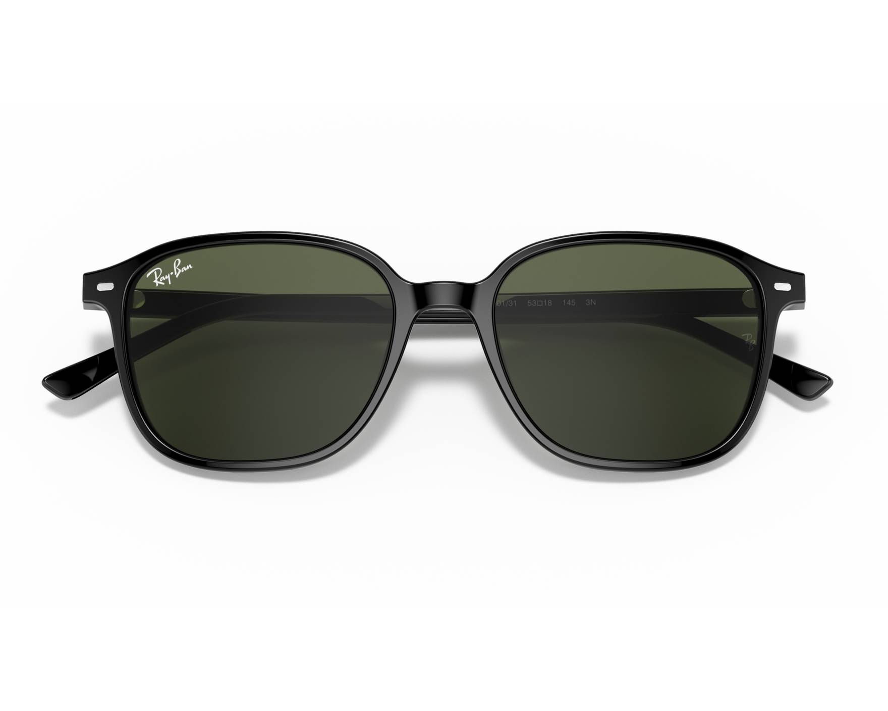 Ray-Ban Leonard RB2193 901/31