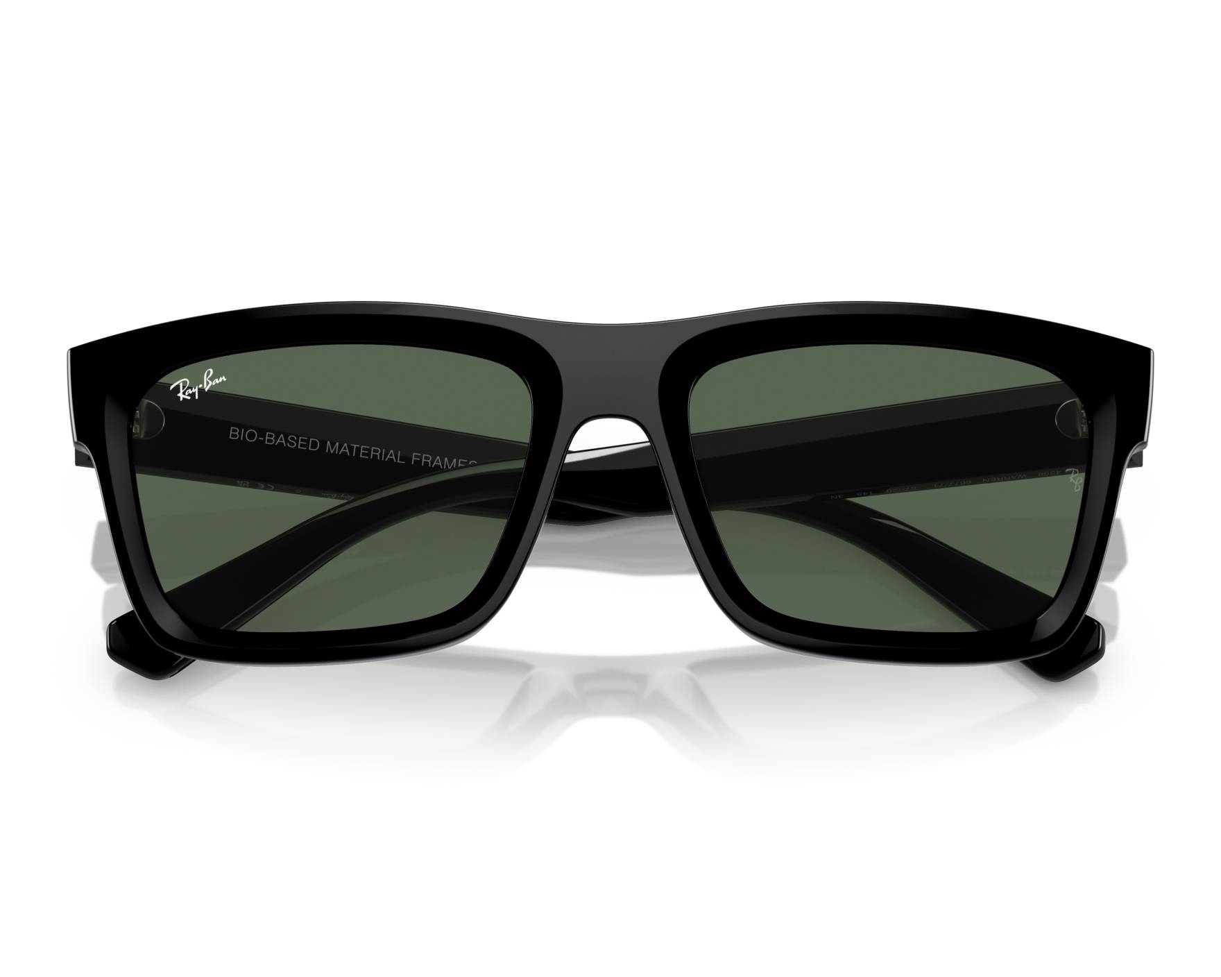 Ray-Ban Warren RB4396 667771