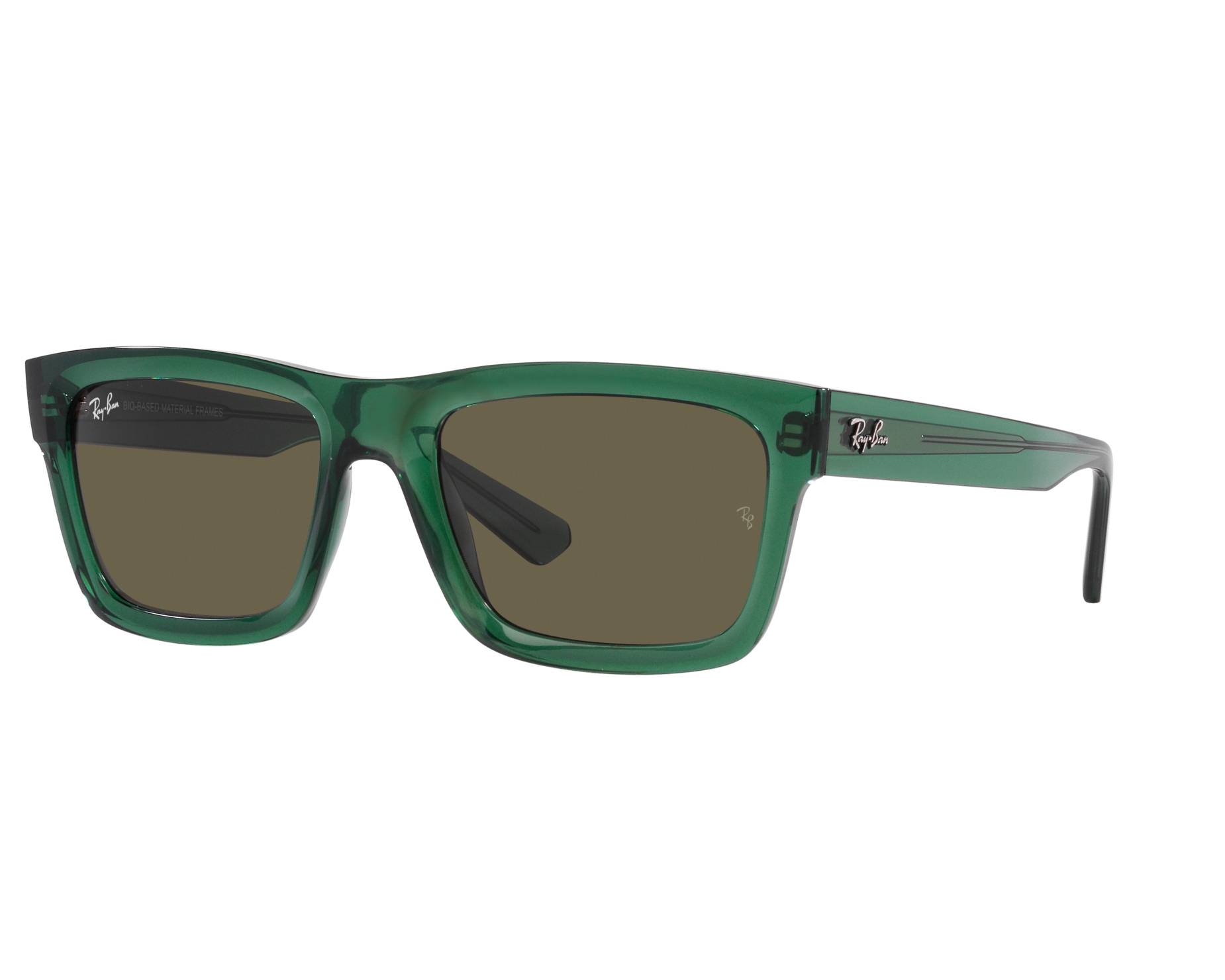 Ray-Ban Warren RB4396 6681/3