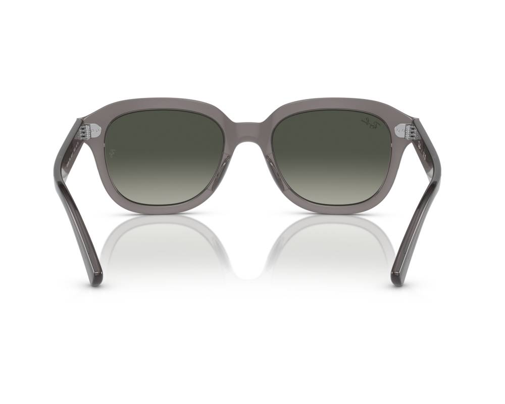 Ray-Ban Erik RB4398 667571